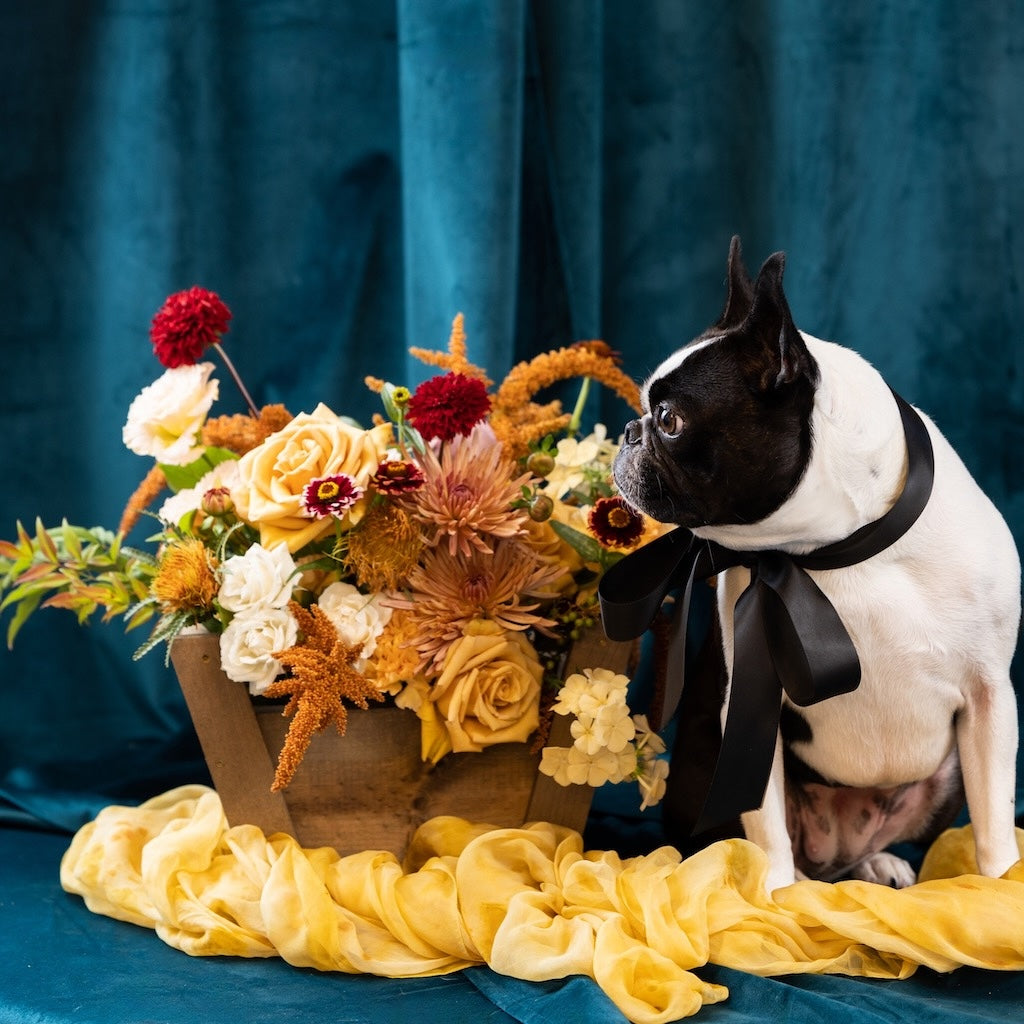 BYOB Basket Options | Build Your Own Gift Basket Seattle Shop